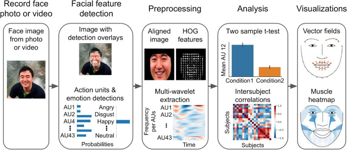 Py-Feat: Python Facial Expression Analysis Toolbox - PMC