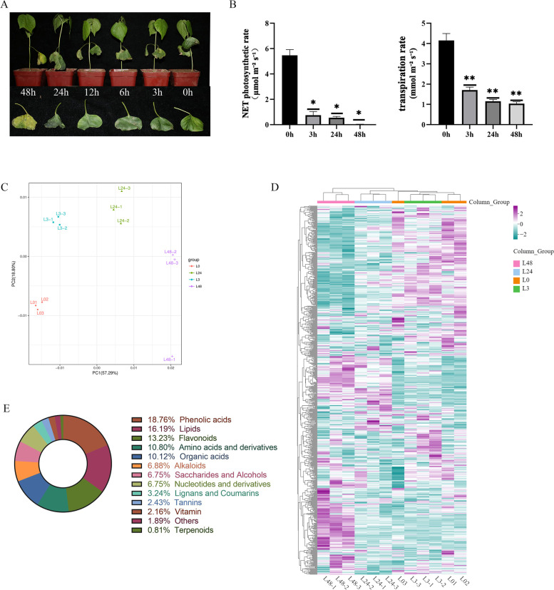 Combined transcriptomic and metabolomic analyses elucidate key salt-responsive biomarkers to ...