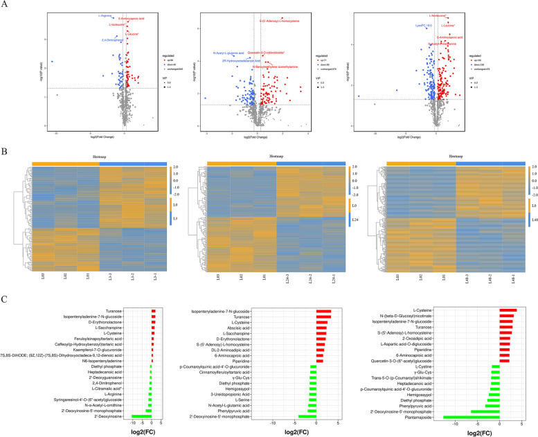 Combined transcriptomic and metabolomic analyses elucidate key salt-responsive biomarkers to ...
