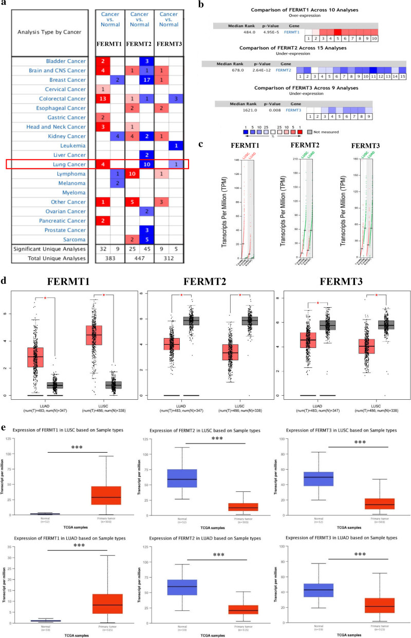 Comprehensive analysis of prognostic value and immune infiltration of kindlin family members in ...