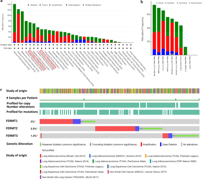 Comprehensive analysis of prognostic value and immune infiltration of kindlin family members in ...