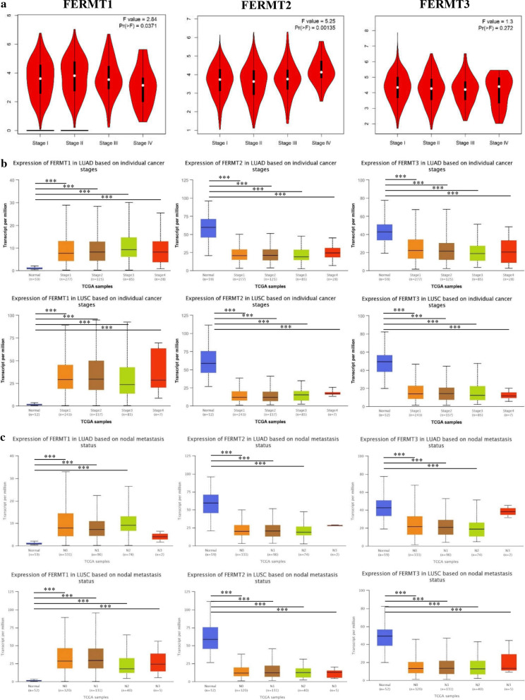 Comprehensive analysis of prognostic value and immune infiltration of kindlin family members in ...
