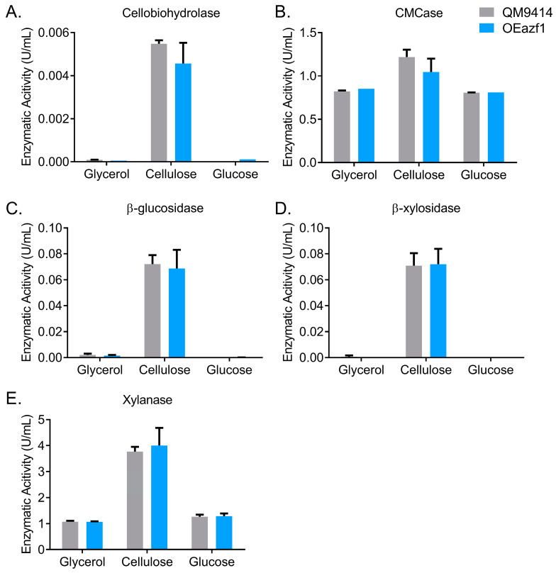 Overexpression of the Transcription Factor Azf1 Reveals Novel Regulatory Functions and Impacts β ...