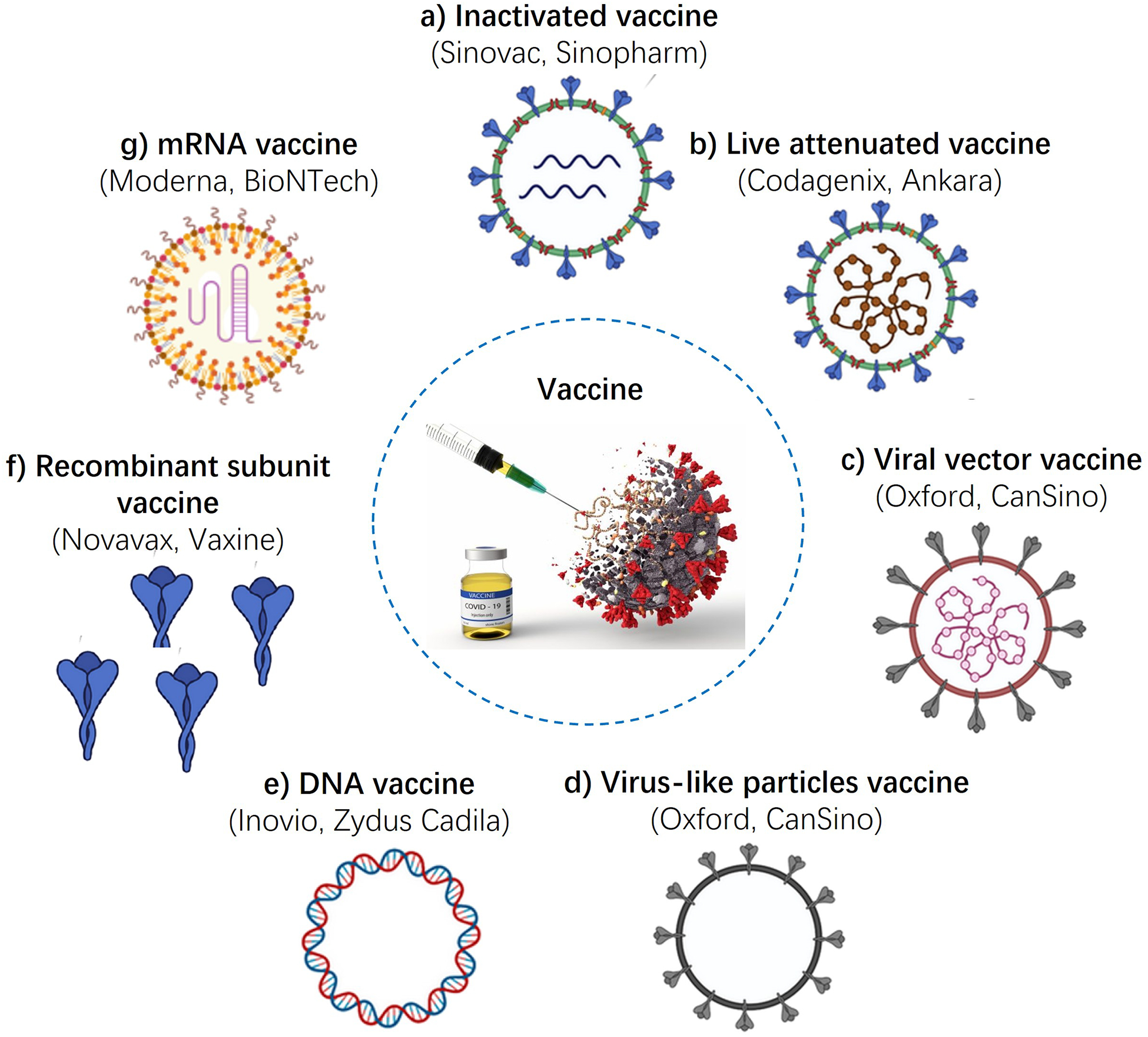 Vaccine Adjuvants: Current Status, Research and Development, Licensing, and Future Opportunities ...
