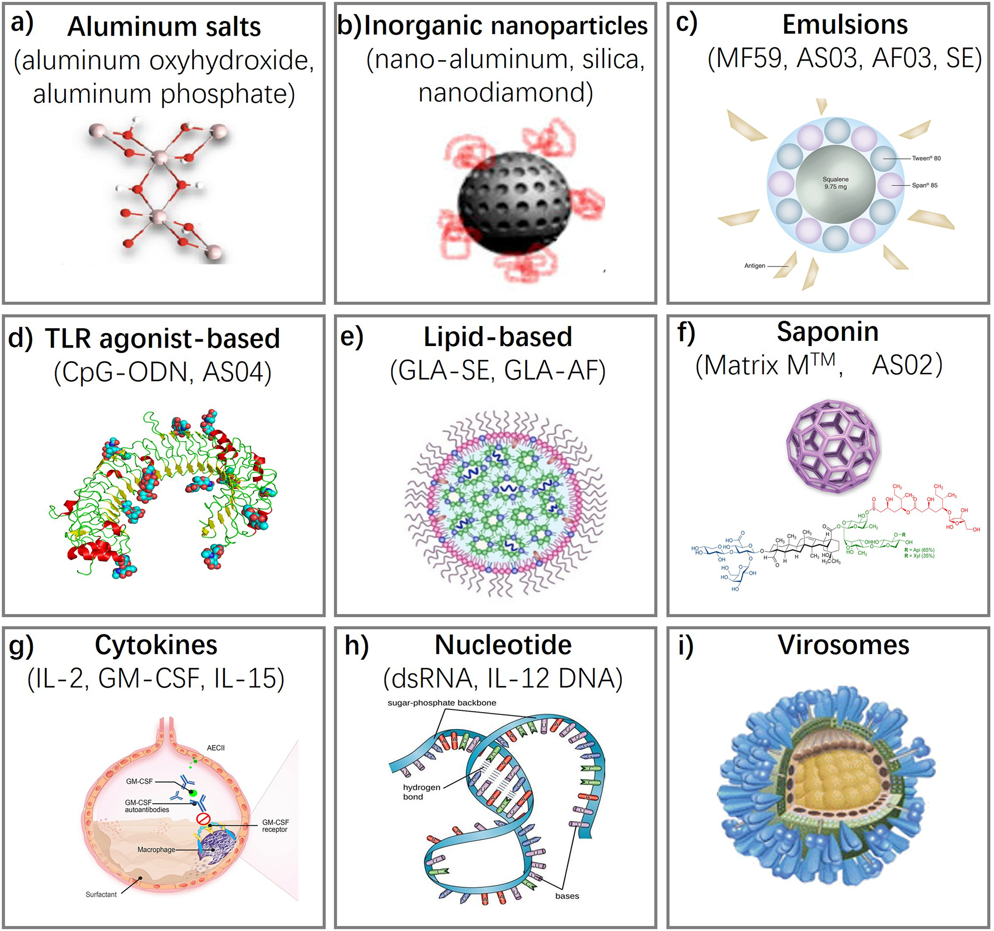 Vaccine Adjuvants: Current Status, Research and Development, Licensing, and Future Opportunities ...