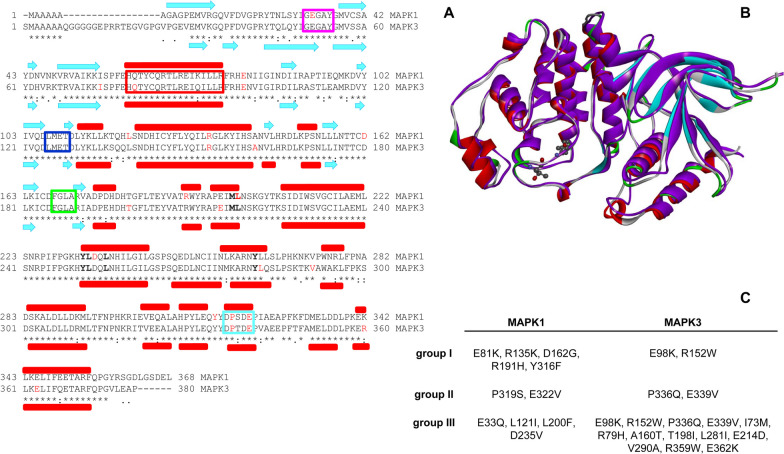 The complex impact of cancer-related missense mutations on the stability and on the biophysical ...