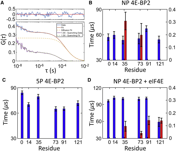 Multisite phosphorylation and binding alter conformational dynamics of the 4E-BP2 protein - PMC