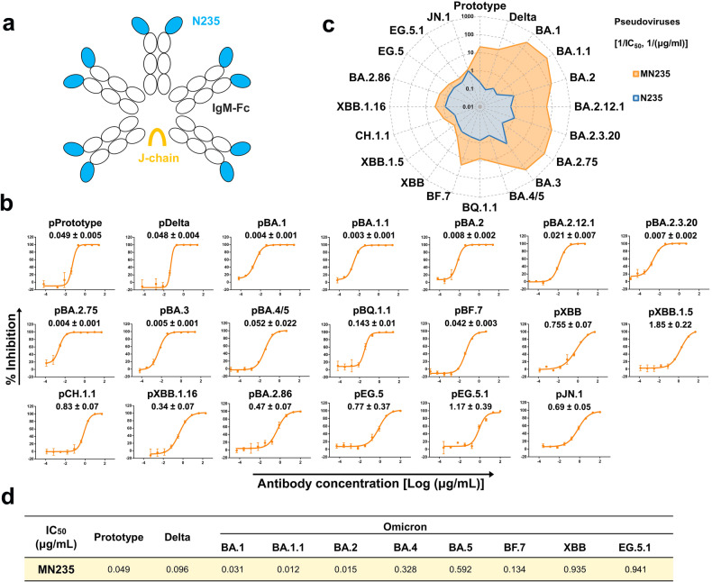 Enhanced potency of an IgM-like nanobody targeting conserved epitope in SARS-CoV-2 spike N ...