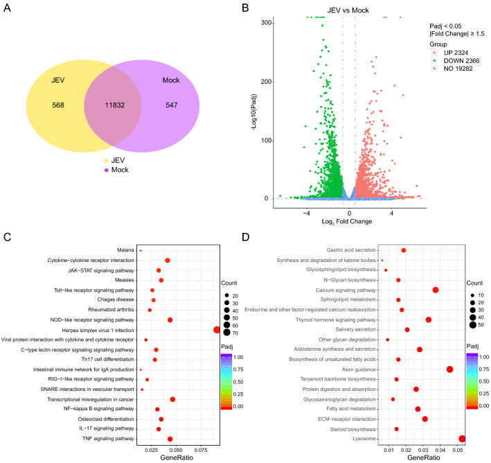 Integrated Metabolomics and Transcriptomics Analyses Reveal Metabolic ...
