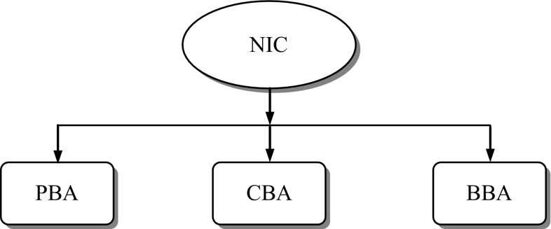 Nature Inspired Computing: An Overview and Some Future Directions - PMC