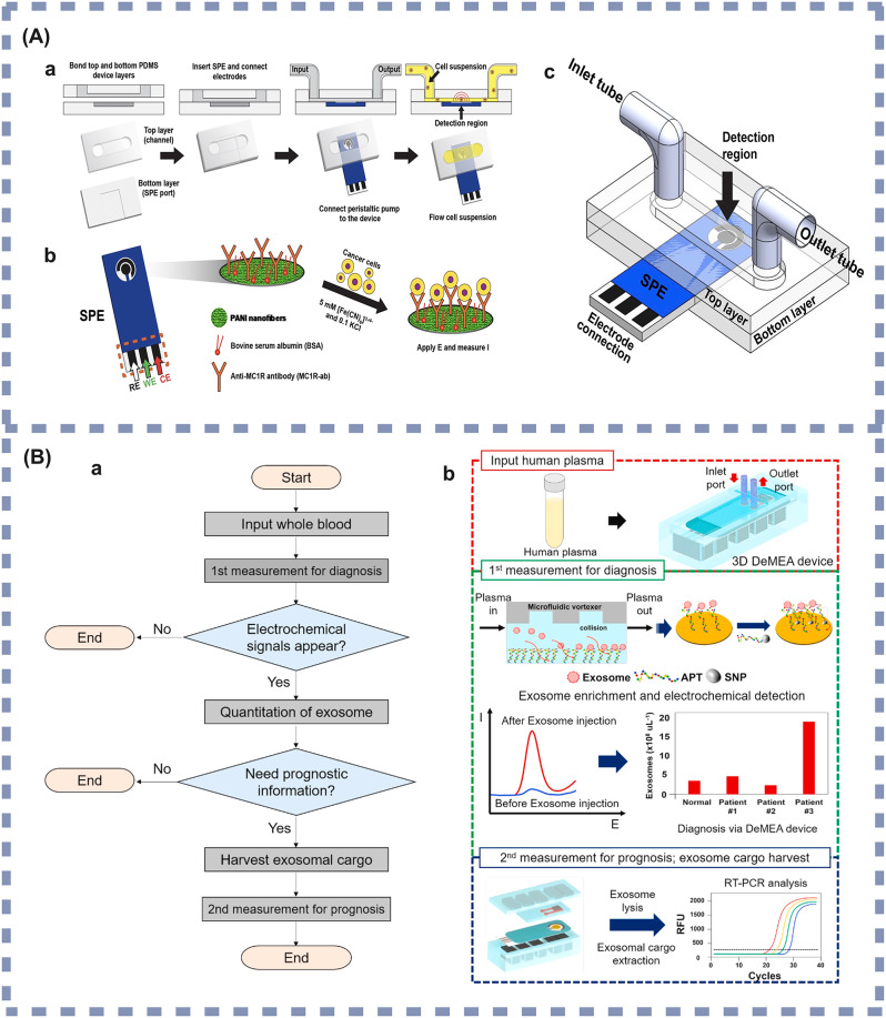 Microfluidic biosensors for biomarker detection in body fluids: a key approach for early cancer ...