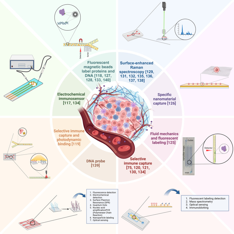 Microfluidic biosensors for biomarker detection in body fluids: a key approach for early cancer ...