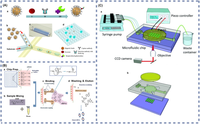 Microfluidic biosensors for biomarker detection in body fluids: a key approach for early cancer ...