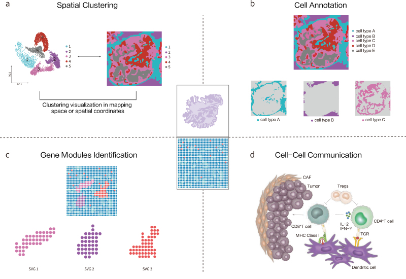Spatiotemporal Omics-Refining the landscape of precision medicine - PMC