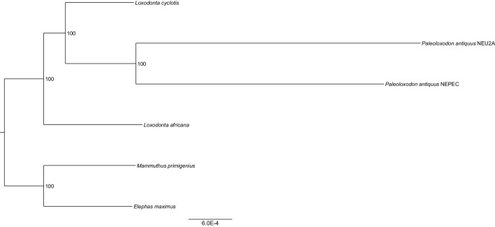 Figure 2—figure supplement 4.