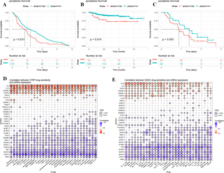 Pan-cancer analyses of pyroptosis with functional implications for ...