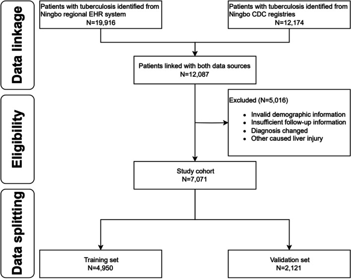 Interpretable machine learning in predicting drug-induced liver injury among tuberculosis ...