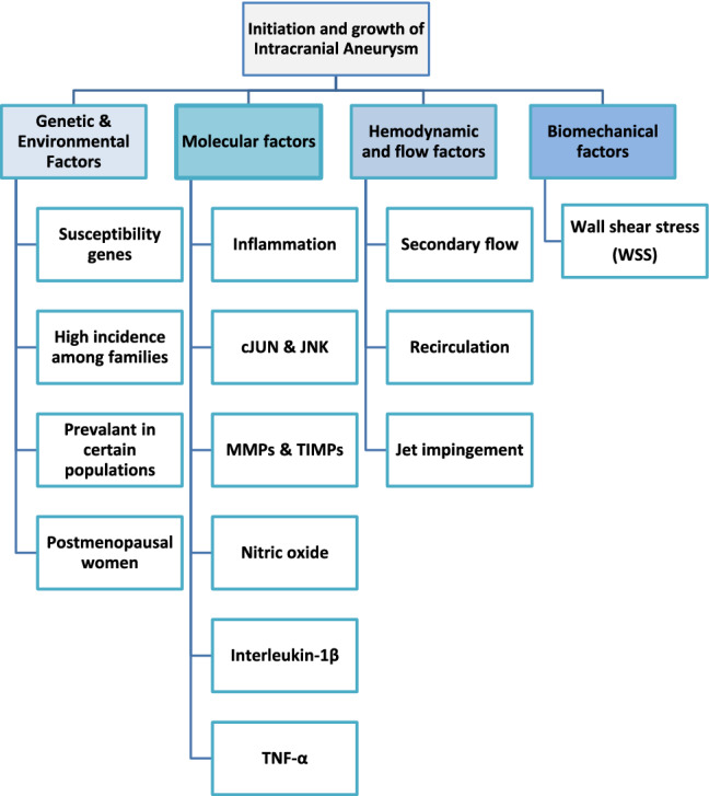Fluid–structure interaction (FSI) simulation for studying the impact of atherosclerosis on ...