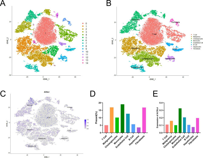 ACSL4 serves as a novel prognostic biomarker correlated with immune infiltration in ...