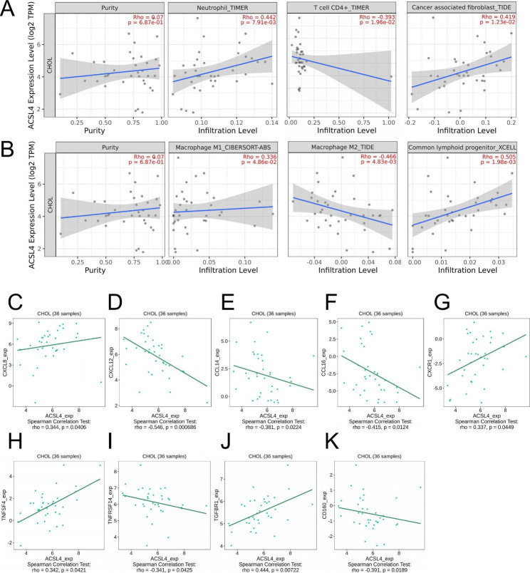 ACSL4 serves as a novel prognostic biomarker correlated with immune infiltration in ...