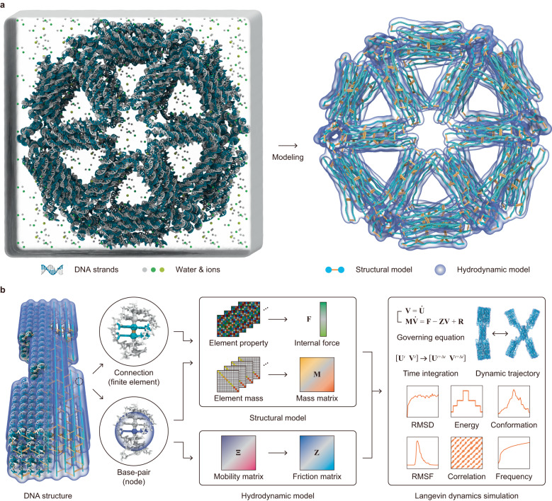 A computational model for structural dynamics and reconfiguration of DNA assemblies - PMC
