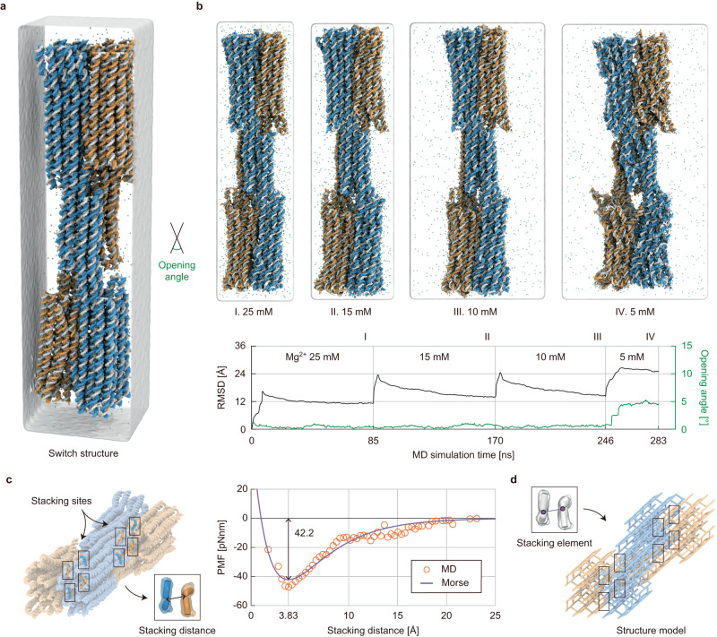 A computational model for structural dynamics and reconfiguration of DNA assemblies - PMC
