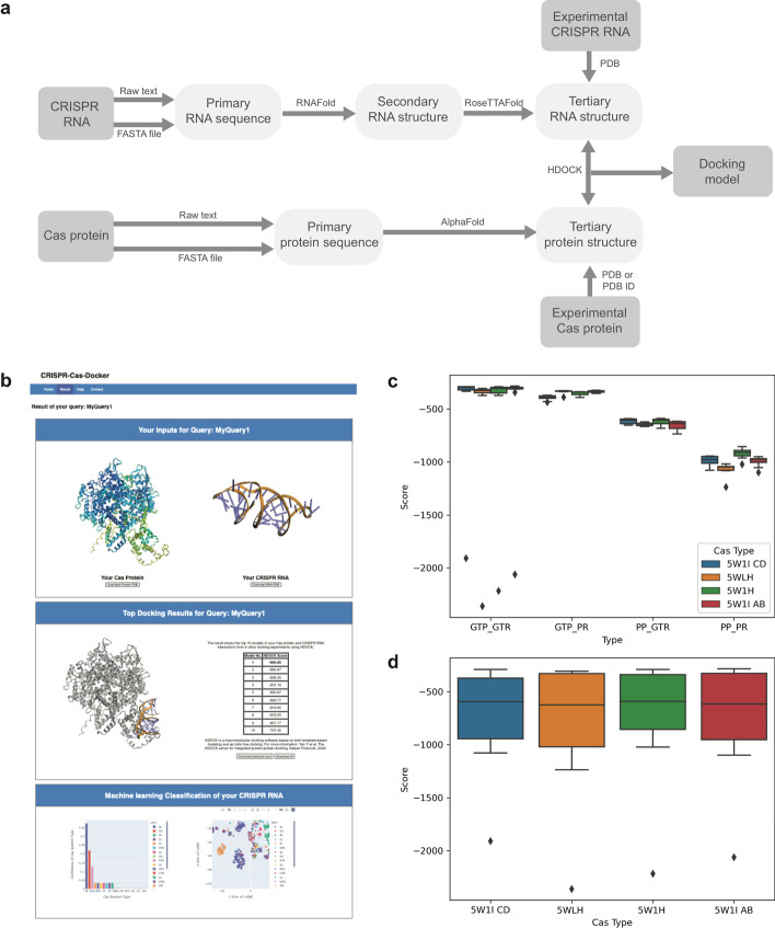 CRISPR-Cas-Docker: web-based in silico docking and machine learning-based classification of ...