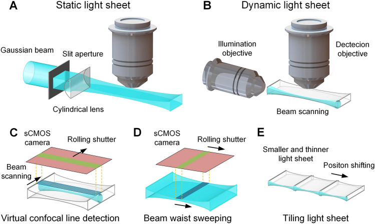 Whole-brain Optical Imaging: A Powerful Tool for Precise Brain Mapping at the Mesoscopic Level - PMC