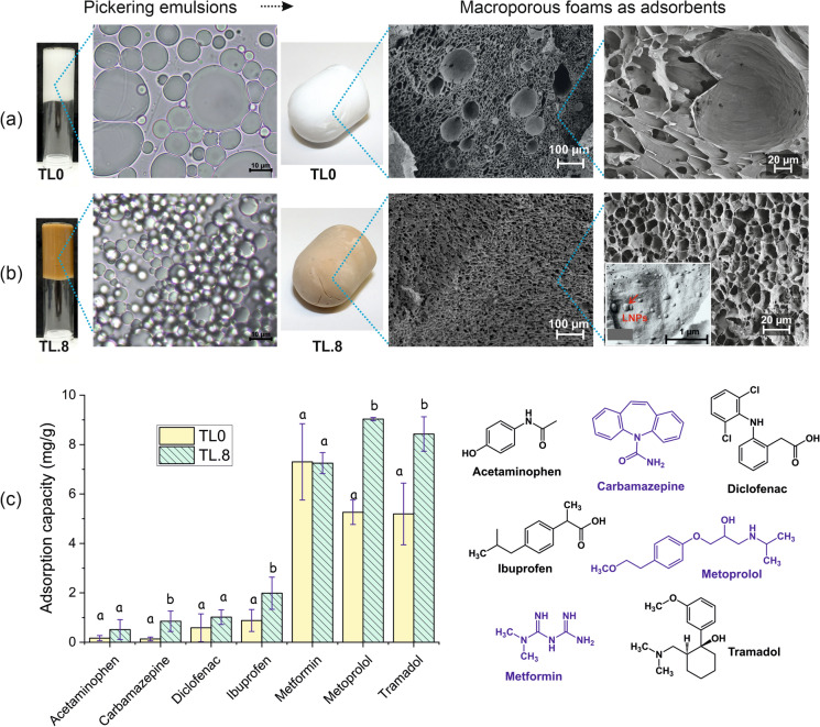 Lignin nanoparticles as co-stabilizers and modifiers of nanocellulose-based Pickering emulsions ...