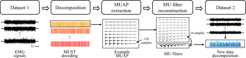 A motor unit action potential-based method for surface electromyography decomposition - PMC