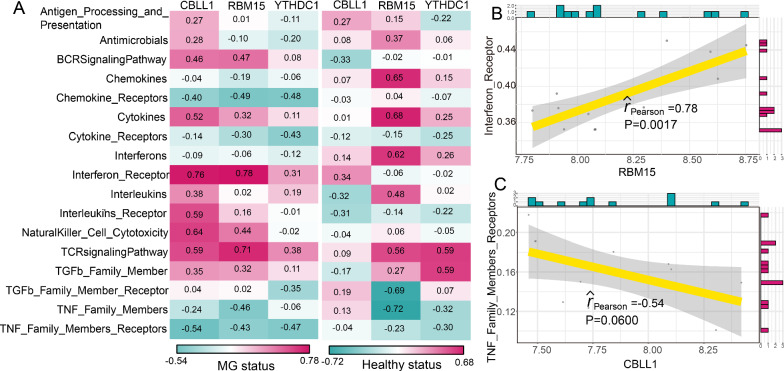 Landscape analysis of m6A modification regulators related biological functions and immune ...