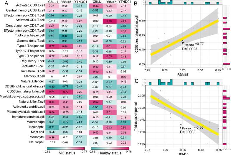 Landscape analysis of m6A modification regulators related biological functions and immune ...