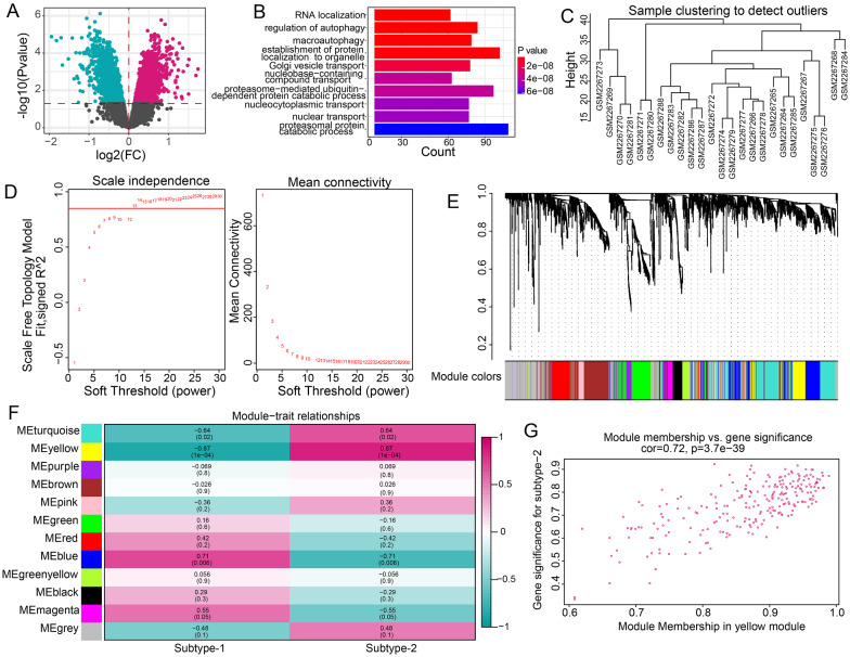 Landscape analysis of m6A modification regulators related biological functions and immune ...