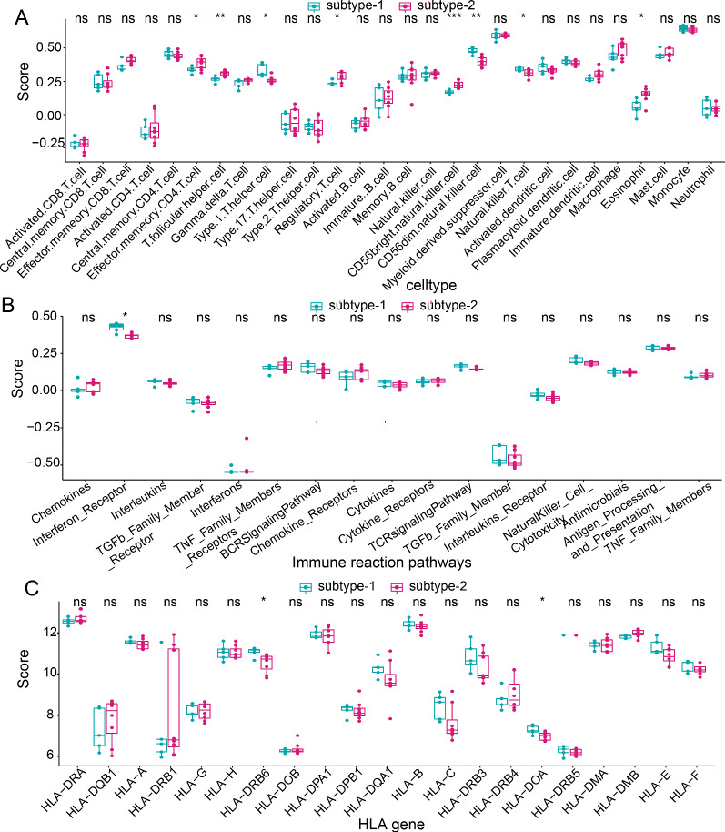 Landscape analysis of m6A modification regulators related biological functions and immune ...