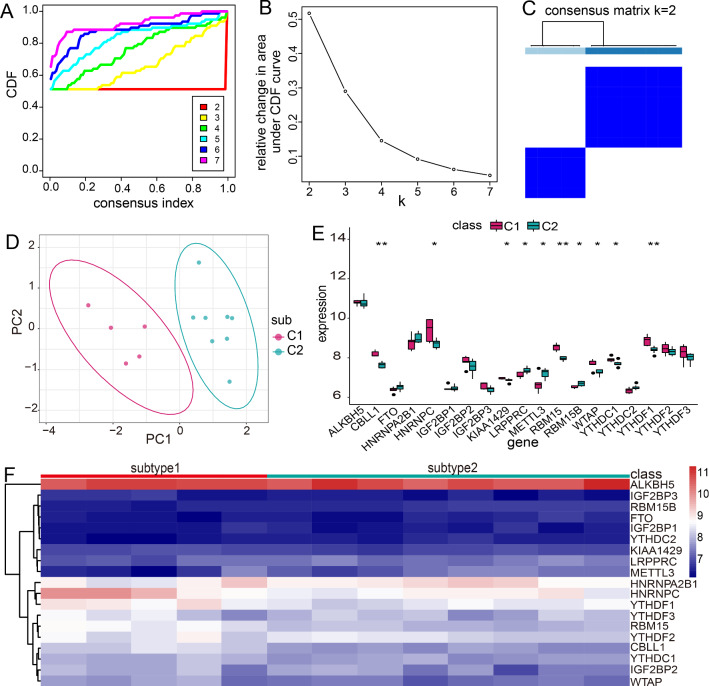 Landscape analysis of m6A modification regulators related biological functions and immune ...