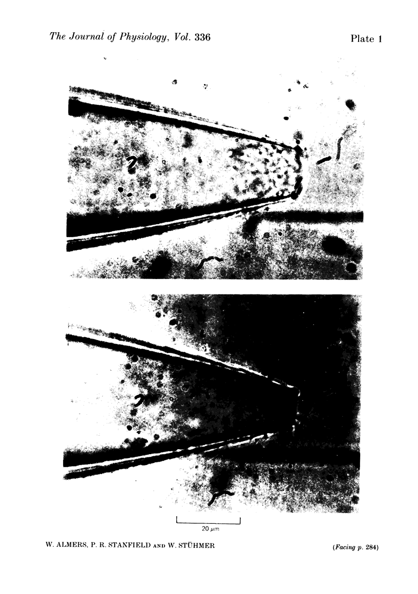 284-1