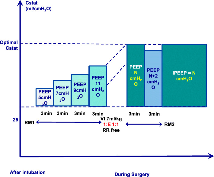 Effects of individualized PEEP obtained by two different titration ...