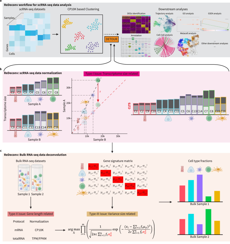 Transcriptome size matters for single-cell RNA-seq normalization and bulk deconvolution - PMC