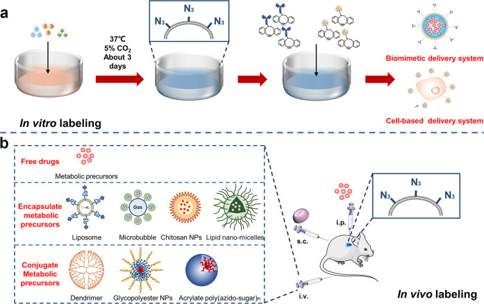 Recent advances in developing active targeting and multi-functional drug delivery systems via ...