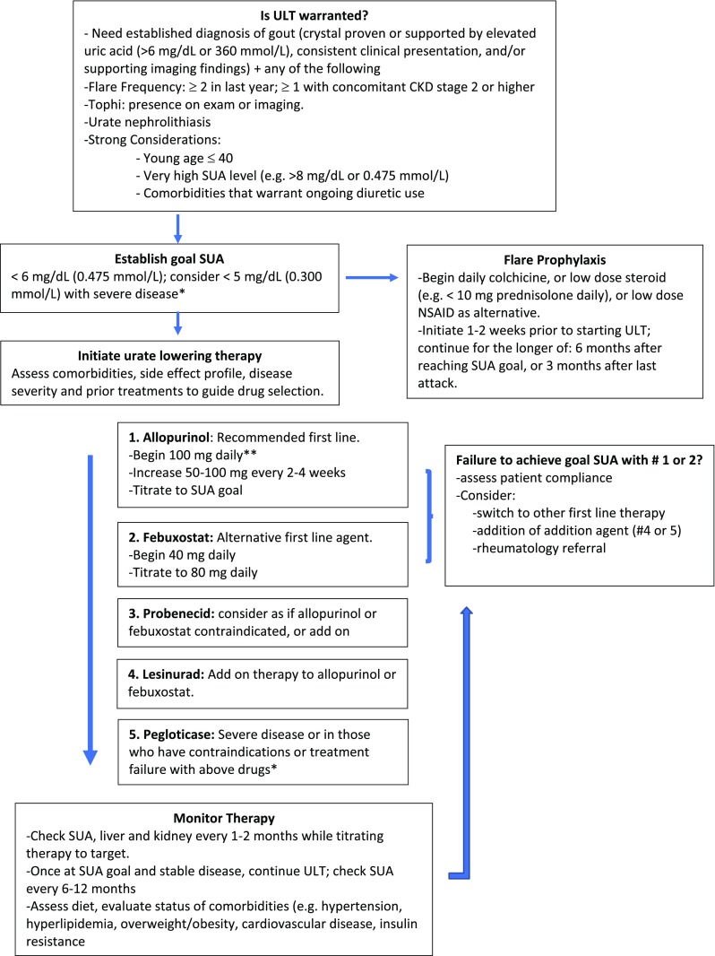 Moving the Needle: Improving the Care of the Gout Patient - PMC