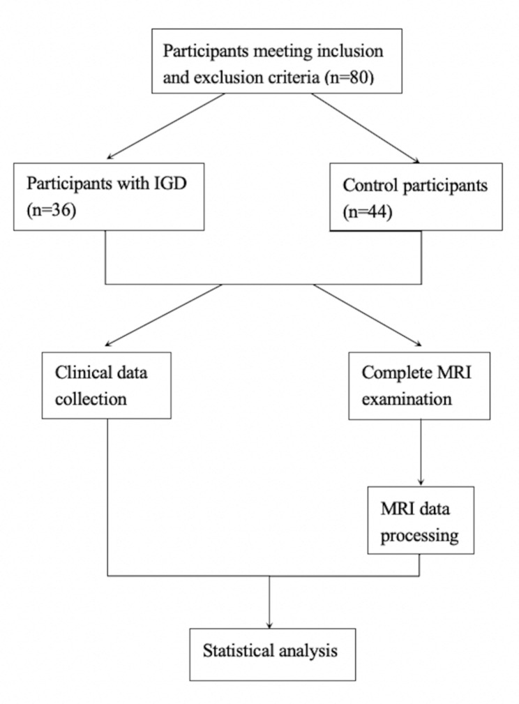 Static and dynamic changes of intrinsic brain local connectivity in internet gaming disorder - PMC