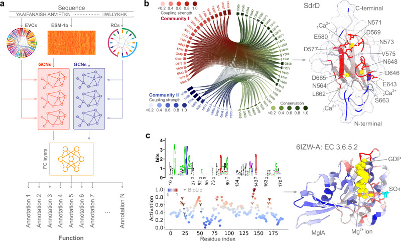 Accurate prediction of protein function using statistics-informed graph networks - PMC