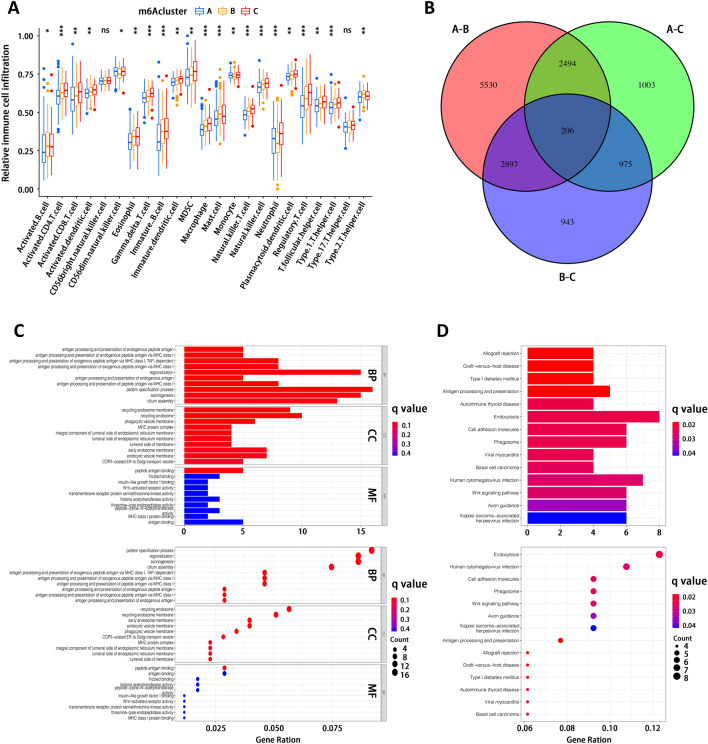 m6A regulator-mediated methylation modification patterns and tumor microenvironment immune ...