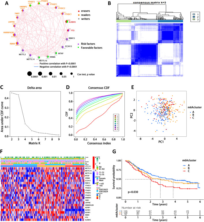 m6A regulator-mediated methylation modification patterns and tumor microenvironment immune ...