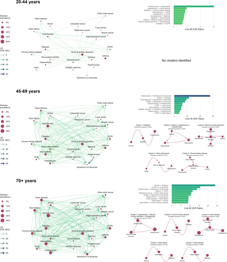 Temporal multimorbidity patterns and cluster identification: a longitudinal analysis of ...