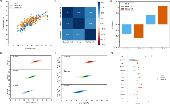 Decoding the role of transcriptomic clocks in the human prefrontal ...