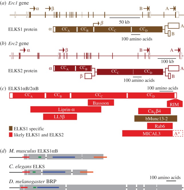 Figure 2.