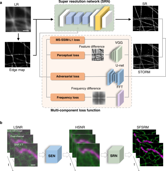 Single-frame deep-learning super-resolution microscopy for ...