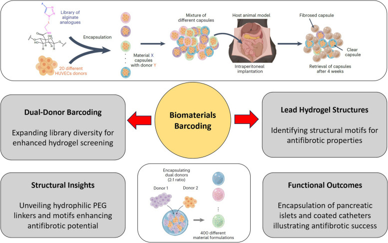 Biomaterials barcoding: a high-throughput breakthrough - PMC