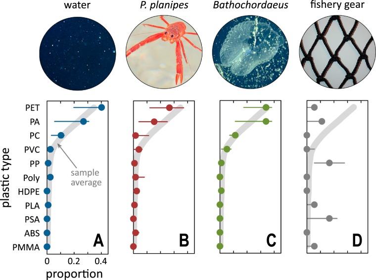 The vertical distribution and biological transport of marine microplastics across the epipelagic ...
